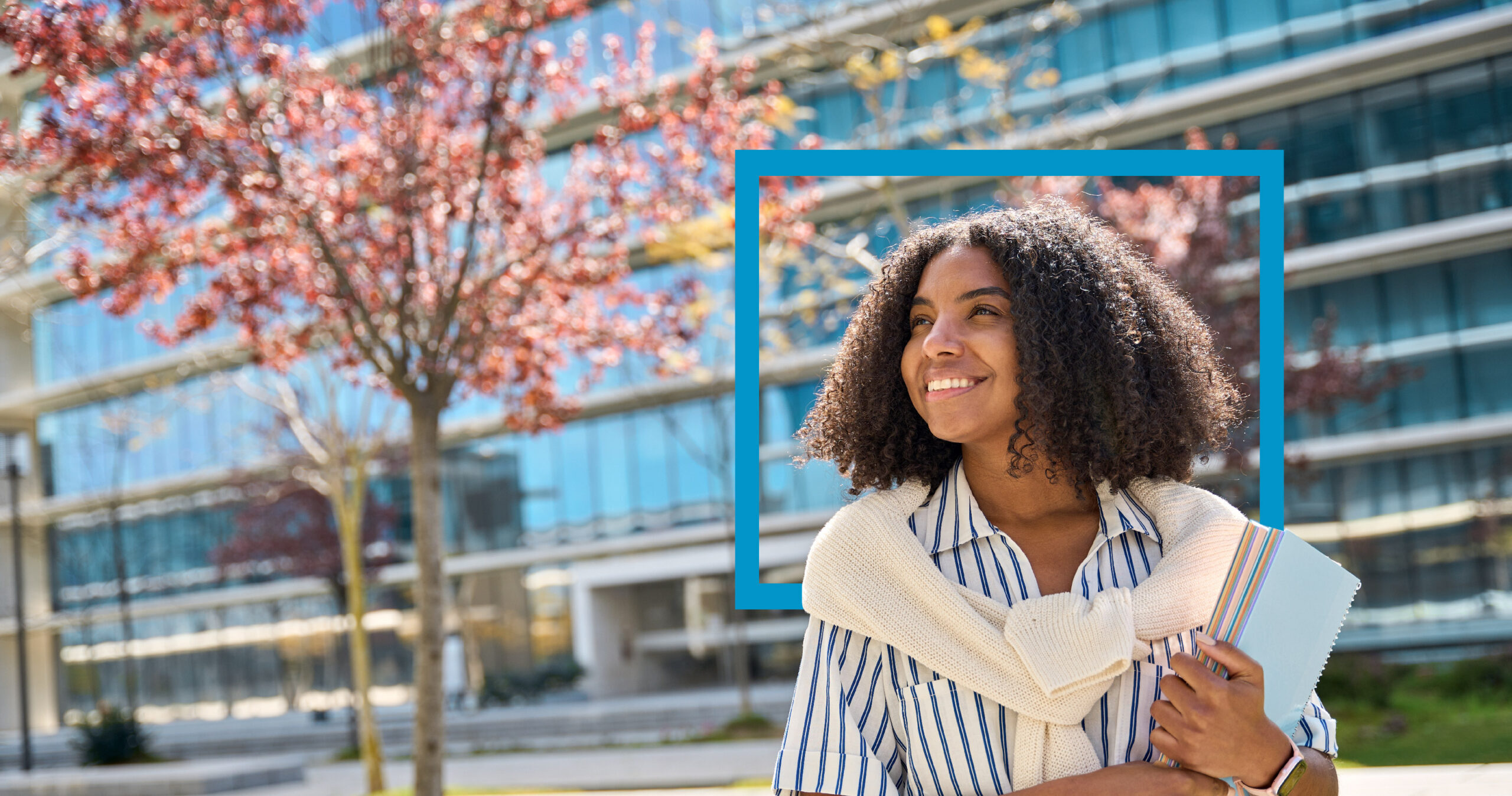 Summer Internship Programme | CG Insurance | Bermuda